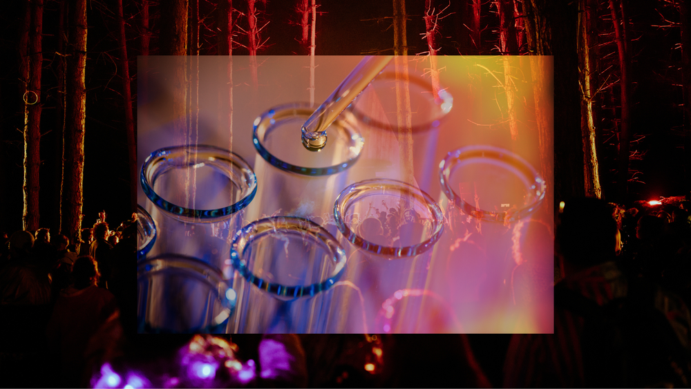 Music festival drug testing returns as UK government issues licences